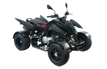 Quad Händler - Crazy-Quad